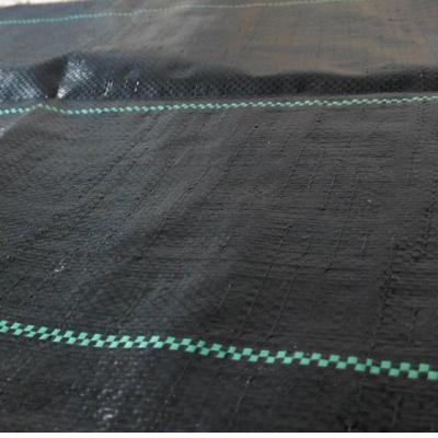 China PP Woven Weed Barrier Fabric 70-130gsm 1x10m Roll Ground Cover for Garden Orchard Weed Control for sale