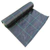 China PP Woven Weed Barrier Fabric 70-130gsm 1x10m Roll Ground Cover for Garden Orchard Weed Control for sale