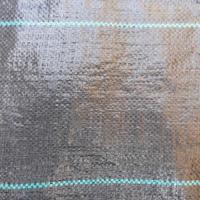 China PP Woven Weed Barrier Fabric Heavy Duty 80-150g/m2 UV Resistant Ground Cover Mat 1x10m for sale