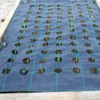 China Heavy Duty Woven Weed Barrier Landscape Fabric 3ft x 150ft Permeable Ground Cover 5oz for sale