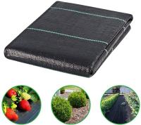 China Heavy Duty Weed Barrier Fabric Ground Cover Nonwoven 125gsm Black 1m-6m Wide for sale