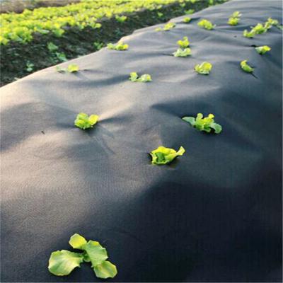 China Premium 5oz Pro Weed Barrier Landscape Fabric Ground Cover Heavy Duty Commercial Anti-Weed Gardening Mat 4ft x 250ft for sale