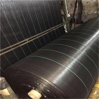 China PP Woven Weed Barrier Fabric 130gsm Heavy Duty Ground Cover Anti Weed Mat 3ft x 300ft for sale