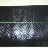 China PP Woven Weed Barrier Fabric 90g-160g 1m-6m Wide Heavy Duty Ground Cover for Garden Orchard for sale