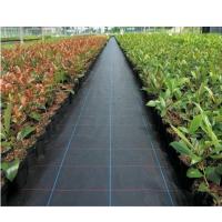 China 5oz Heavy Duty Weed Barrier Fabric 3ft x 300ft PP Woven Garden Landscape Mat for sale