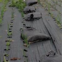 China 5oz Heavy Duty Weed Barrier Fabric 3ft x 300ft PP Woven Garden Landscape Mat for sale