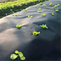 China 5oz Heavy Duty Weed Barrier Fabric 3ft x 300ft PP Woven Garden Landscape Mat for sale