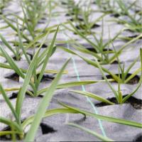 China 5oz Heavy Duty Weed Barrier Fabric 3ft x 300ft PP Woven Garden Landscape Mat for sale