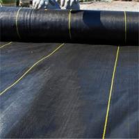 China 5oz Heavy Duty Weed Barrier Fabric 3ft x 300ft PP Woven Garden Landscape Mat for sale