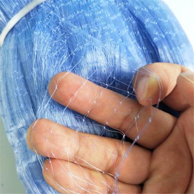 China Nylon Multifilament Seine Fishing Net Green Color 100m Length 2m Depth for sale