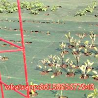 China 2022 new products  weed barrier for sale