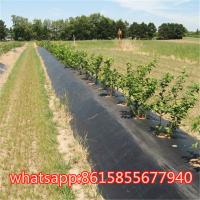 China Best Sellers in Weed Barrier Fabric for sale