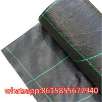 China PP Weed Barrier Fabric to Amazon for sale