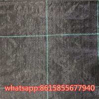 China PP Weed Barrier Fabric to Amazon for sale