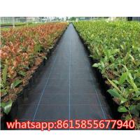 China PP Woven Landscape Fabric Weed Barrier Cloth 60gsm to 400gsm 0.5m to 6m Width for sale