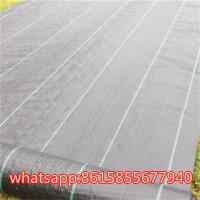 China PP Woven Landscape Fabric Weed Barrier Cloth 60gsm to 400gsm 0.5m to 6m Width for sale