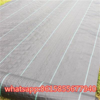 China PP Woven Landscape Fabric Weed Barrier Cloth 60gsm to 400gsm 0.5m to 6m Width for sale