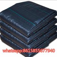 China PP Woven Landscape Fabric Weed Barrier Cloth 60gsm to 400gsm 0.5m to 6m Width for sale