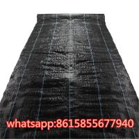 China PP Woven Landscape Fabric Weed Barrier Cloth 60gsm to 400gsm 0.5m to 6m Width for sale