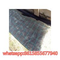 China PP Woven Landscape Fabric Weed Barrier Cloth 60gsm to 400gsm 0.5m to 6m Width for sale