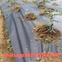 China PP Woven Landscape Fabric Weed Barrier Cloth 60gsm to 400gsm 0.5m to 6m Width for sale