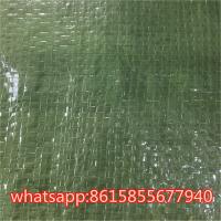 China PP Woven Weed Barrier Landscape Fabric 100gsm 1.6m Wide Ground Cover for sale