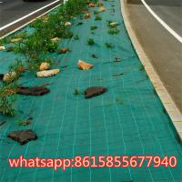 China PP Woven Weed Barrier Landscape Fabric 100gsm 1.6m Wide Ground Cover for sale