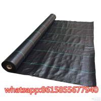 China PP Woven Weed Barrier Landscape Fabric 100gsm 1.6m Wide Ground Cover for sale