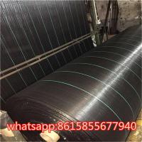 China PP Woven Weed Barrier Landscape Fabric 100gsm 1.6m Wide Ground Cover for sale