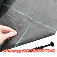 China PP Woven Weed Barrier Landscape Fabric 100gsm 1.6m Wide Ground Cover for sale