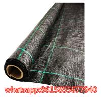China PP Woven Weed Barrier Landscape Fabric 100gsm 1.6m Wide Ground Cover for sale