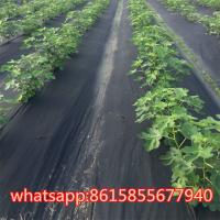 China PP Woven Weed Barrier Landscape Fabric 100gsm 1.6m Wide Ground Cover for sale