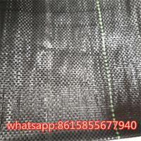 China PP Woven Weed Barrier Landscape Fabric 100gsm 1.6m Wide Ground Cover for sale