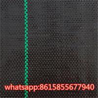 China PP Woven Weed Barrier Landscape Fabric 100gsm 1.6m Wide Ground Cover for sale