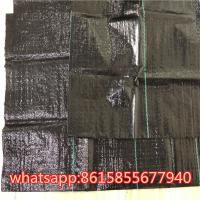 China PP Woven Weed Barrier Landscape Fabric 100gsm 1.6m Wide Ground Cover for sale
