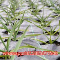 China Weed Barrier | Weed Block Pro Weed Mat - Gardener Supply for sale