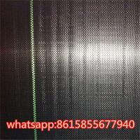 China Ground Cover- Weed Mat Manufacturer from China for sale