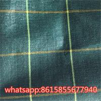 China Ground Cover- Weed Mat Manufacturer from China for sale