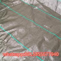 China Ground Cover- Weed Mat Manufacturer from China for sale