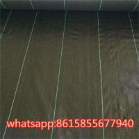 China China factory of Weed Control & Ground Covers for sale