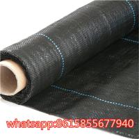 China China factory of Weed Control & Ground Covers for sale