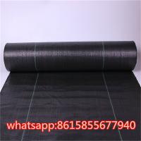 China China factory of Weed Control & Ground Covers for sale