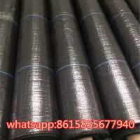China China factory of Weed Control & Ground Covers for sale