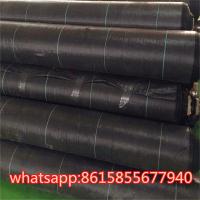 China China factory of Weed Control & Ground Covers for sale