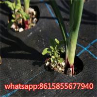 China China factory of Weed Control & Ground Covers for sale