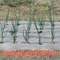 China China factory of Weed Control & Ground Covers for sale