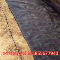 China China factory of Weed Control & Ground Covers for sale