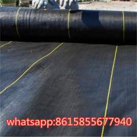 China PP Woven Landscape Fabric Weed Barrier 100gsm 1.6m Wide Anti Weed Mat Ground Cover for sale