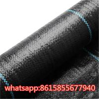 China PP Woven Landscape Fabric Weed Barrier 100gsm 1.6m Wide Anti Weed Mat Ground Cover for sale