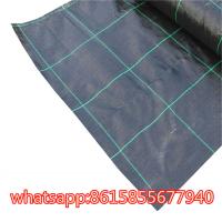 China PP Woven Landscape Fabric Weed Barrier 100gsm 1.6m Wide Anti Weed Mat Ground Cover for sale